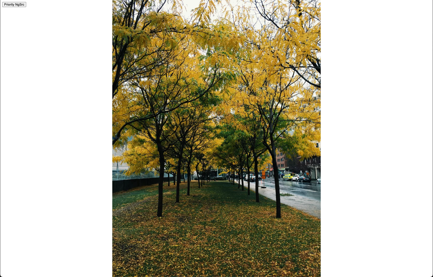 How to do proper image optimization in Angular