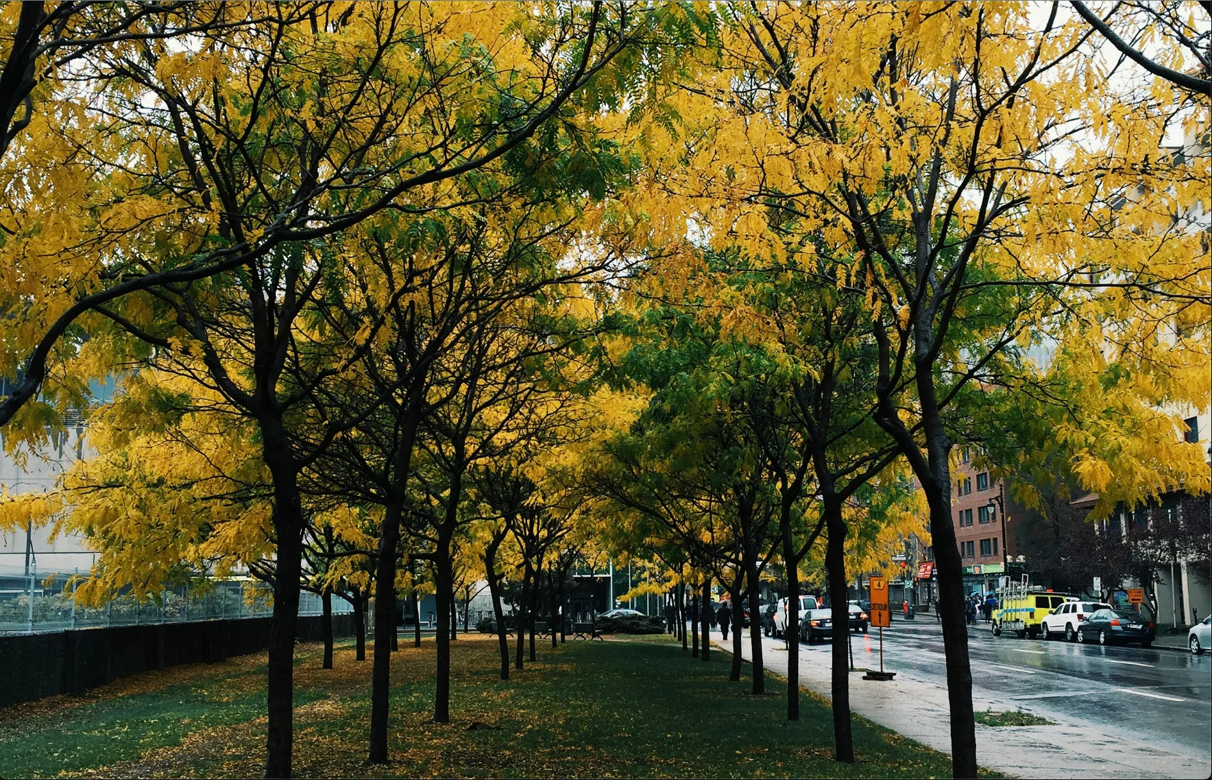 How to do proper image optimization in Angular